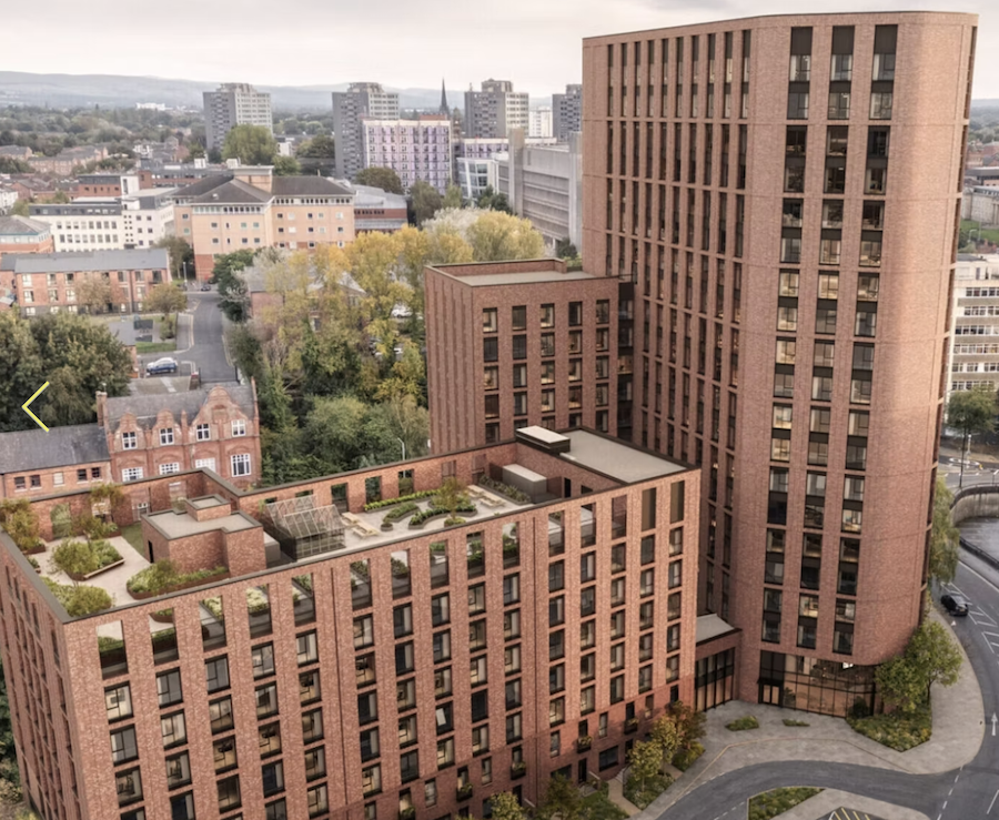 Progressive Living and Picture This appoints NOVO to Fletcher Street ...